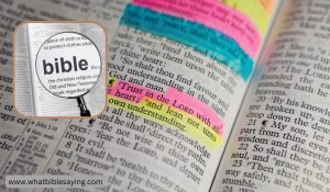 How To Highlight A Bible: Effective Bible Highlighting Guide