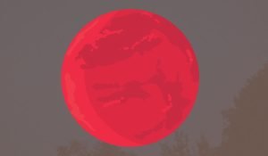 What Does the Bible Say About Blood Moon? Explained - What Bible Saying