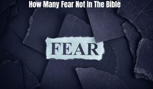How Many Fear Not In The Bible: Exploring "Fear Not" in the Bible