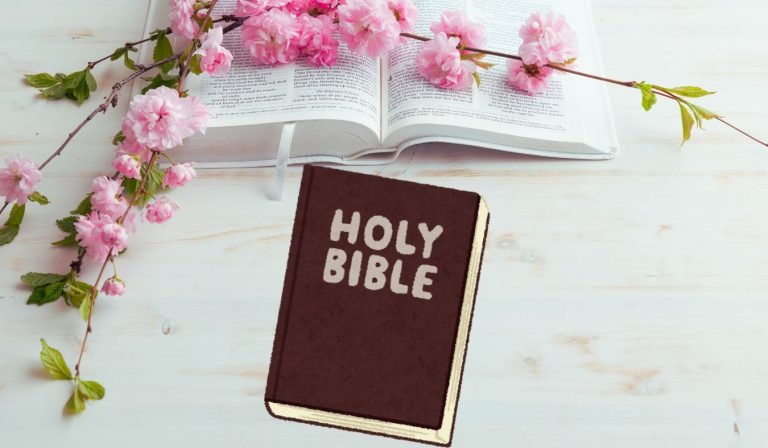 How To Study Your Bible Kay Arthur: Kay Arthur's Bible Study Guide