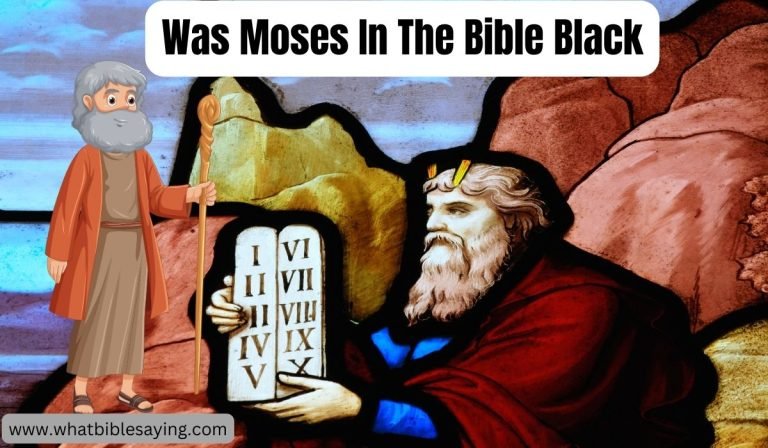 Was Moses In The Bible Black? Insights from Bible & History