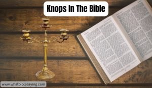 What Are Knops In The Bible? Knops, Snuff Dishes, and Collops - What ...