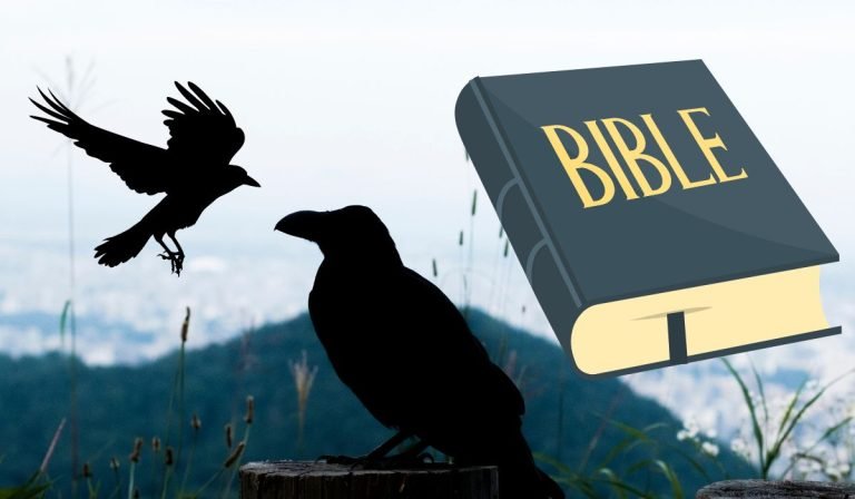 What Do Crows Symbolize in the Bible? Crows in the Bible