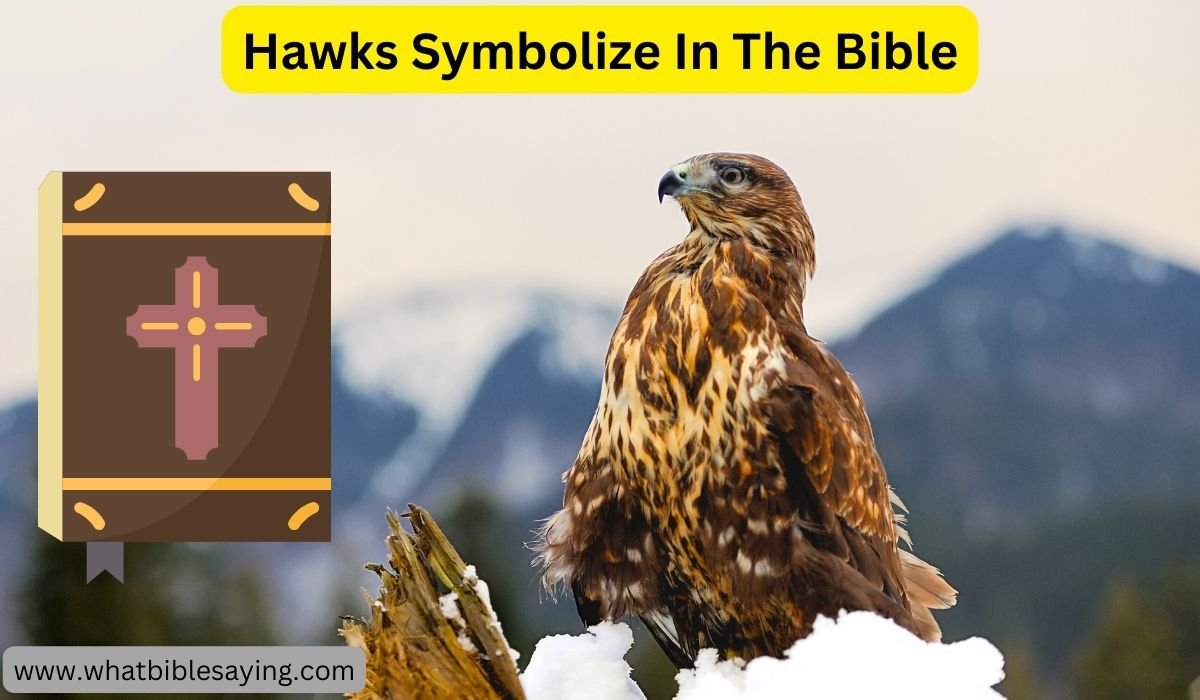 What Does The Number 5 Represent In The Bible Exploring Number 5 In What Does The Number 5 Represent In The Bible Exploring Number 5 In