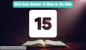 What Does Number 15 Mean In The Bible? Number 15 in the Bible - What ...
