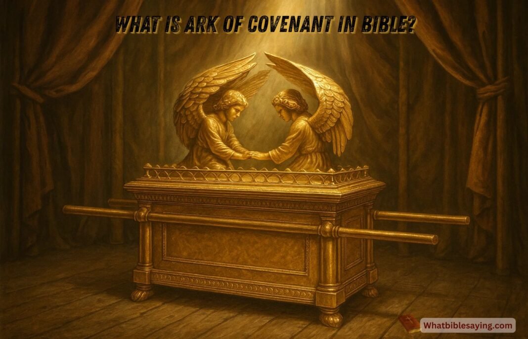 What Is Ark of Covenant in Bible? Meaning and Purpose